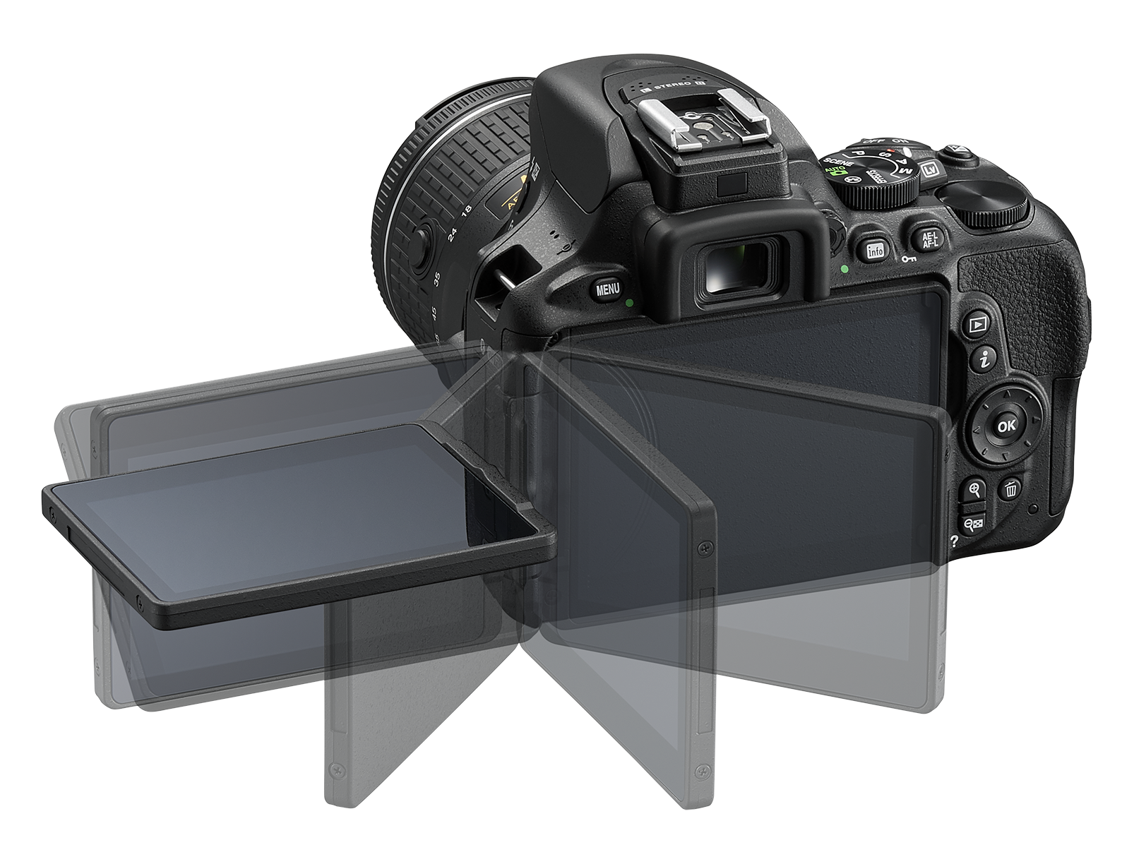 Nikon d5600 specs store
